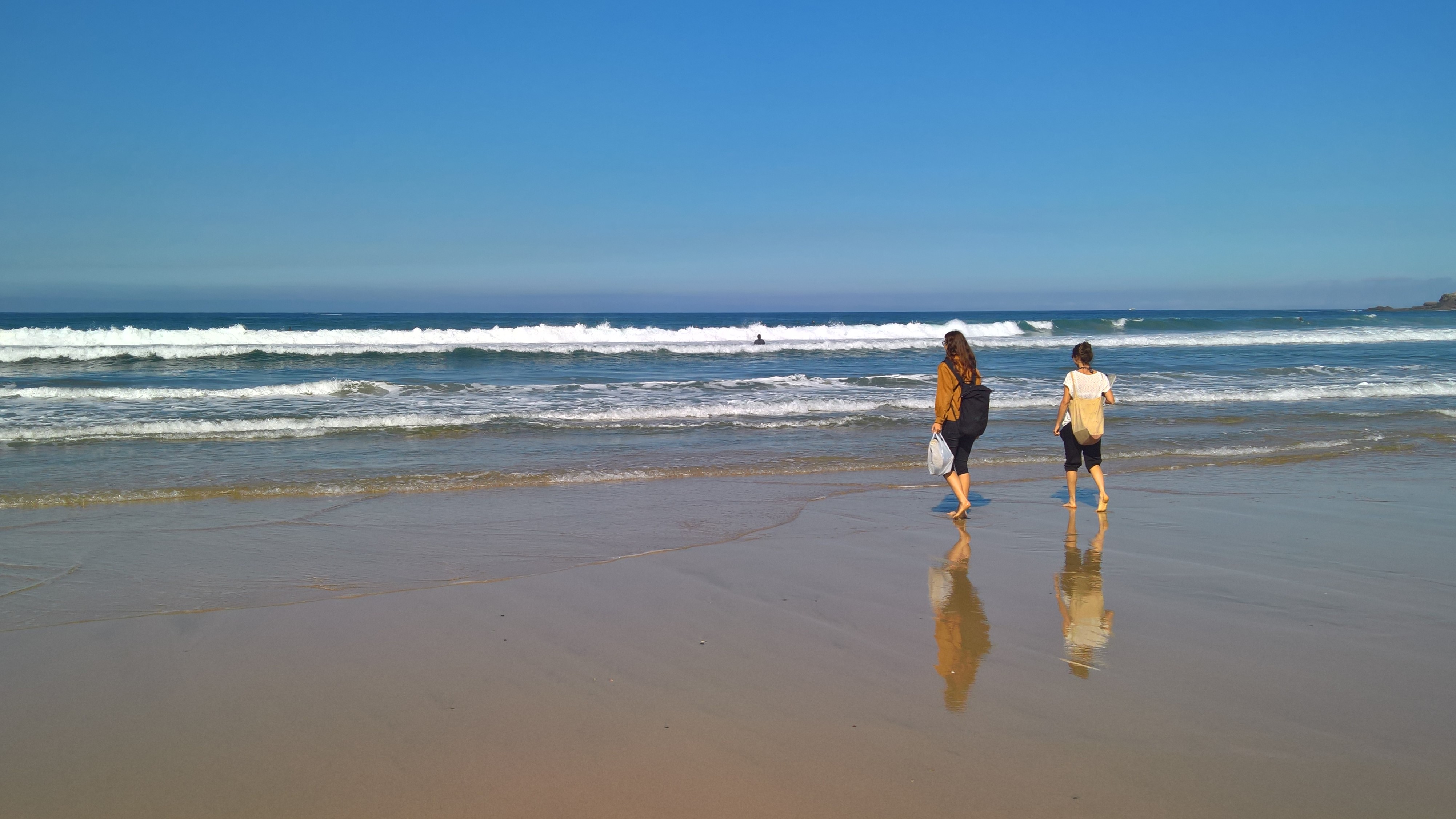 San Sebastian sea – Allan Ecology Lab