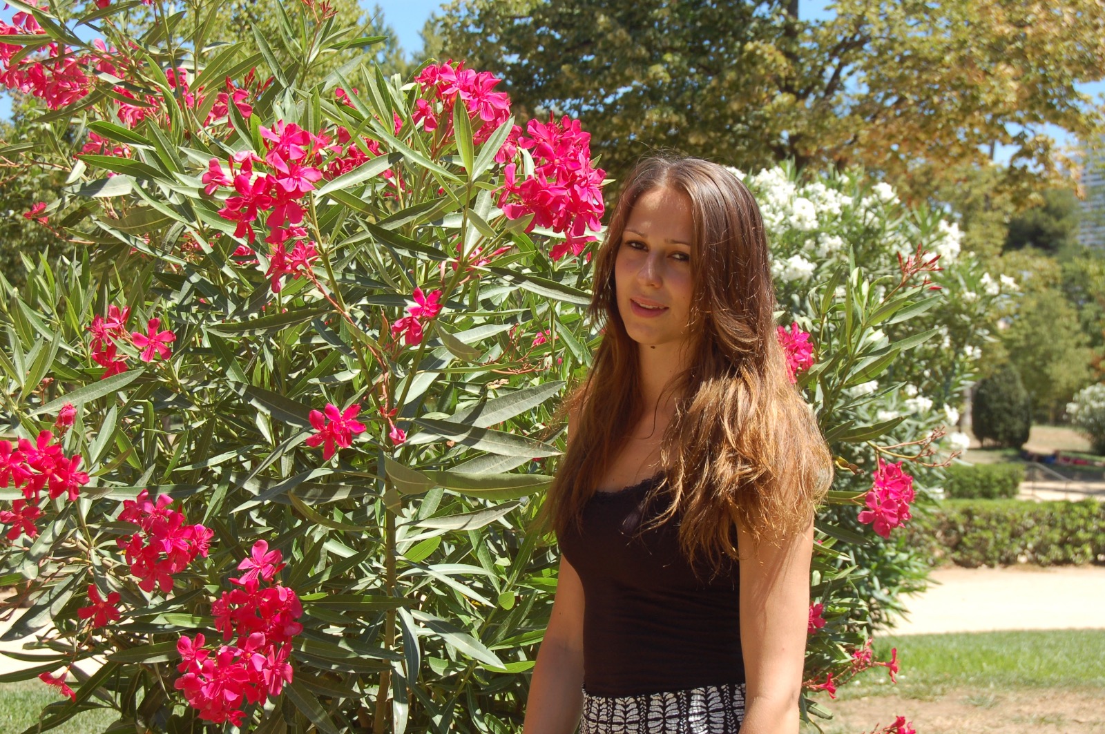 Géraldine Chavey – Allan Ecology Lab