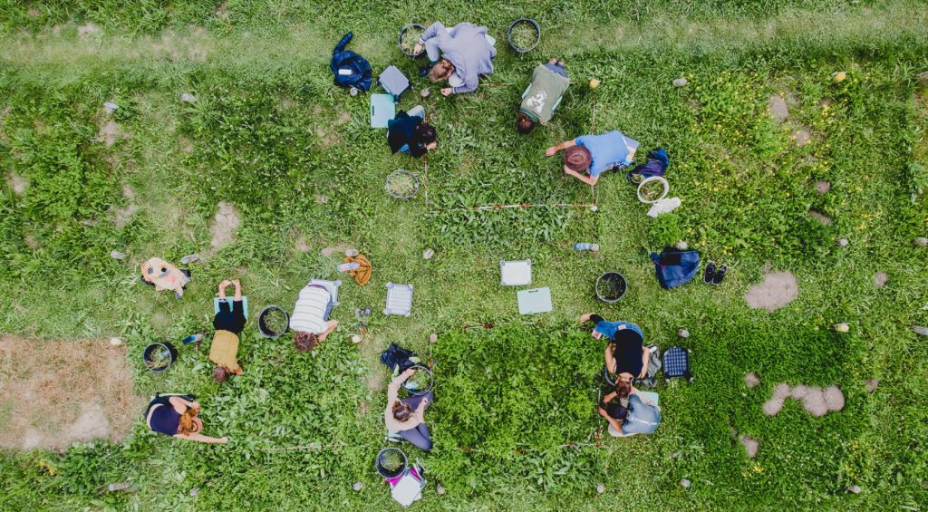 PhD Opportunity in Community Ecology Group (CSC-funded, starting 2026 ...